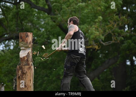 Lumberjack, wood chopping, woodchopper, wood chopper, show, Alaska ...
