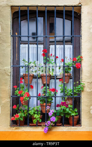 Iron bars of the old house. It has ornaments with red hearts and fake ...