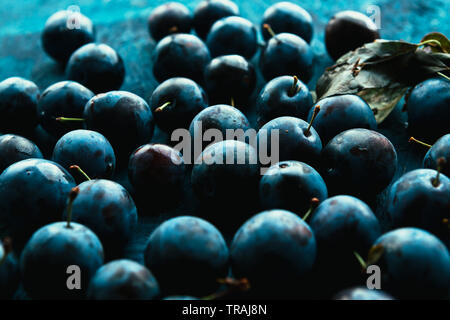 many fresh plums on blue background close up Stock Photo - Alamy