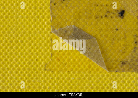 Macro image of the yellow texture of a book cover Stock Photo - Alamy
