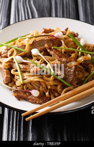 Beef Chow Fun - Beef stir-fried with rice noodle, bean sprouts, spring ...