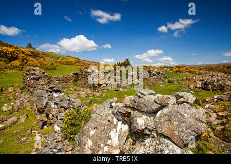 Ireland, Co Louth, Cooley Peninsula, Rooskey, ruins of house in ...