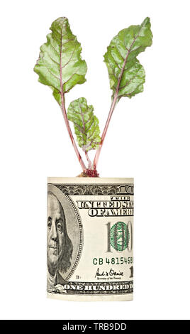 beetroot growing from money Stock Photo - Alamy