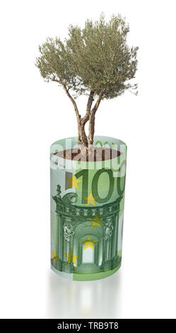 Olive tree growing from euro bill Stock Photo - Alamy