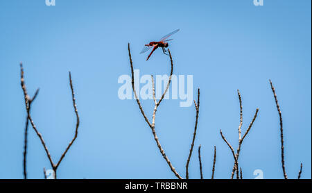 A look at some of the magnificent sights to see in Weeden Island ...