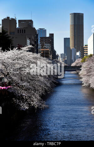 Meguro Area Tokyo Japan Stock Photo - Alamy