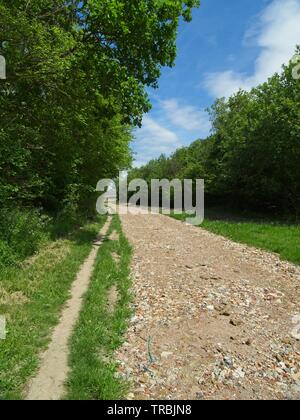Hardcore gravel path in countryside. For 'down the garden path ...