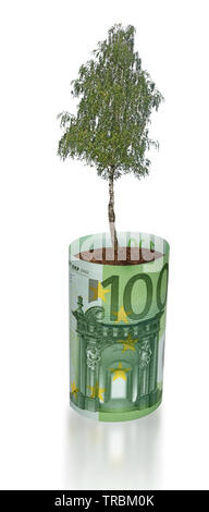 Tree growing from euro bill Stock Photo - Alamy