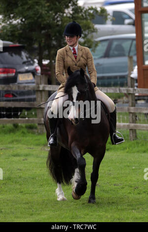 Pontargothi Show 2019 Stock Photo - Alamy