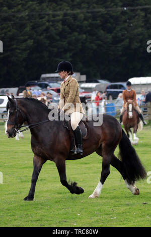Pontargothi Show 2019 Stock Photo - Alamy
