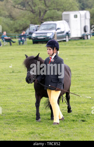 Pontargothi Show 2019 Stock Photo - Alamy