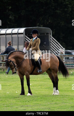 Pontargothi Show 2019 Stock Photo - Alamy