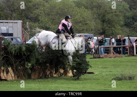 Pontargothi Show 2019 Stock Photo - Alamy