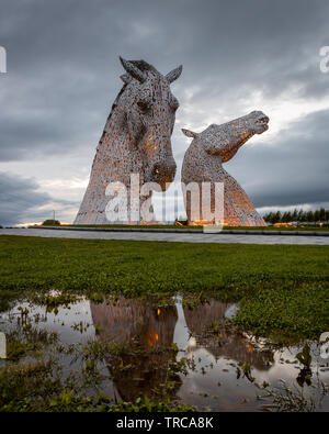 Image of the Kelpies Stock Photo - Alamy