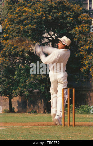 Cricket batsman playing a hook shot Stock Photo - Alamy