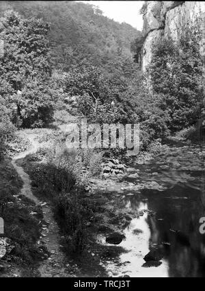 Small stream wends 2 Stock Photo - Alamy