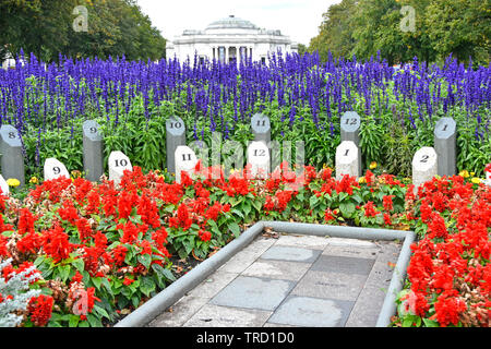 Delphinium ‘Diamond blue’ flowers. UK Stock Photo - Alamy