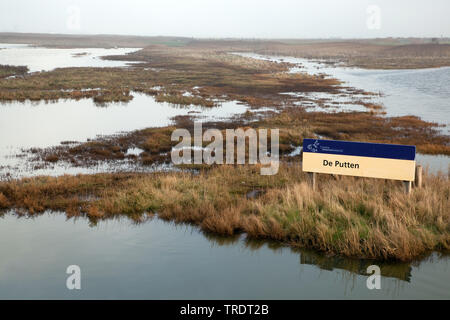 wetland De Putten, Netherlands, Northern Netherlands, Camperduin Stock ...
