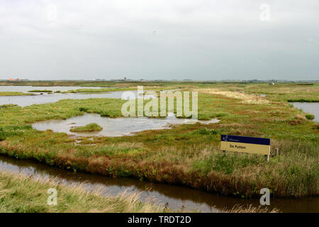 wetland De Putten, Netherlands, Northern Netherlands, Camperduin Stock ...