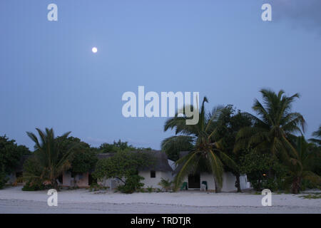 Paradise on Earth. Tropical beach, green palm trees, azure sea, sand ...
