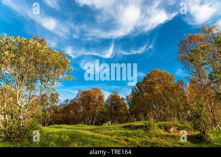 Norway in autumn Stock Photo - Alamy