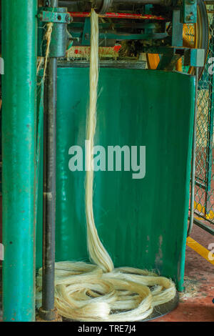 Agave plant fiber spinning, for rope construction, taken at the factory ...