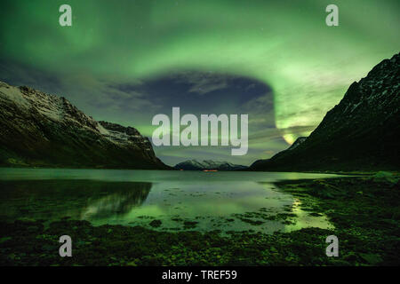 Northern Norwegian landscape with fjords, mountains and shore with moss ...
