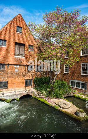 Winchester City Mill, view of Winchester City Mill; a watermill has ...
