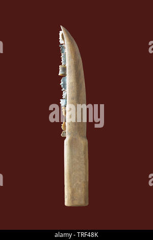 Neolithic sickle made with stone flints. Prehistoric agricultural ...