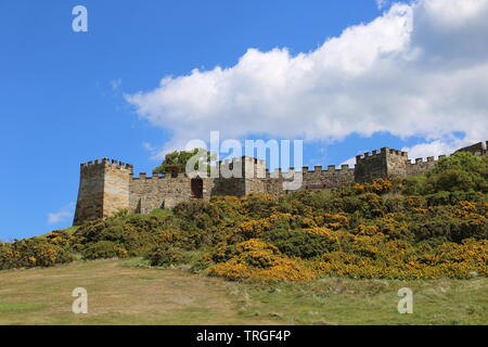 Mock Castle gardens at Raven Hall Hotel, Ravenscar, Borough of ...