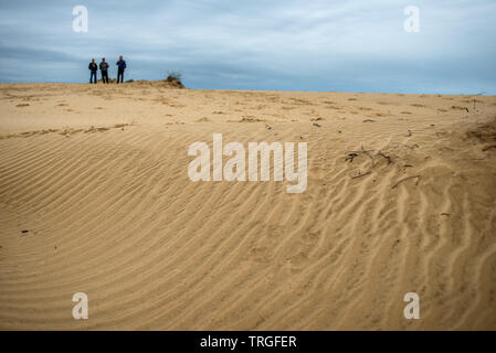 Desert Oleshky Sands or Oleshky Desert, second largest desert of Europe ...
