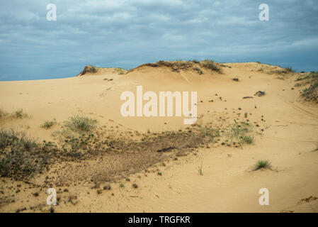 Desert Oleshky Sands or Oleshky Desert, second largest desert of Europe ...