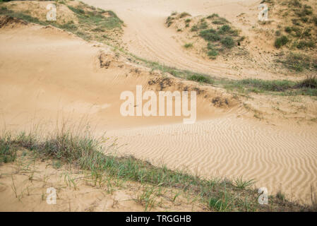 Desert Oleshky Sands or Oleshky Desert, second largest desert of Europe ...