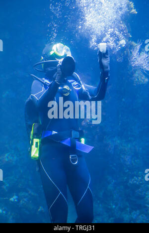Diver Cleaning Interior of Aquarium Tank Stock Photo - Alamy