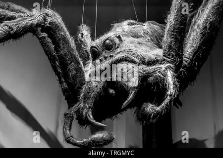 Aragog, Giant Spider, Harry Potter Studios, the Making of Harry Potter ...