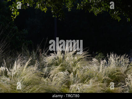 Range grass and landscaping Stock Photo - Alamy