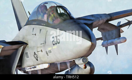 The Grumman F-14 Tomcat is a twin-engine, twin-engine, supersonic jet ...