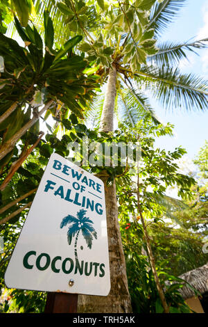 A 'BEWARE FALLING COCONUTS' sign in Honolulu serves as a reminder of ...