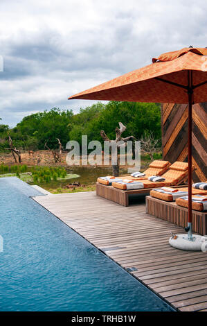 Pool with wildlife views at Phinda Homestead, in andBeyond’s Phinda ...
