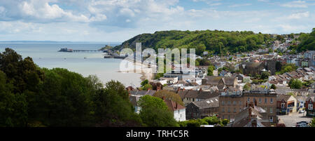 Wales, Gower Peninsula, The Mumbles, coastal footpath, man walking dog ...