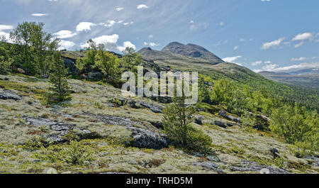 Norway. Wanderung zur Alm Bakkeseter in Rondane Stock Photo - Alamy