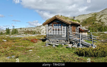Norway. Wanderung zur Alm Bakkeseter in Rondane Stock Photo - Alamy