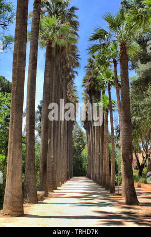Jnan sbil garden in Fez in Morocco Stock Photo - Alamy