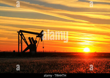 Silhouetted pumpjack in the oil field at sunset Stock Photo - Alamy