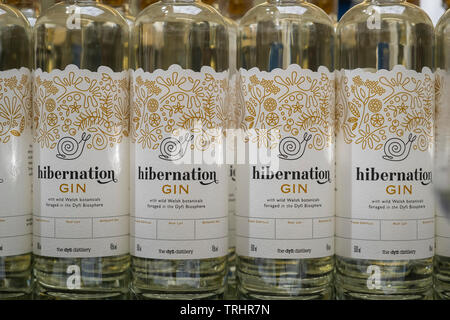 Bottle of hibernation gin at Dyfi distillery, artisan gin by Pete ...