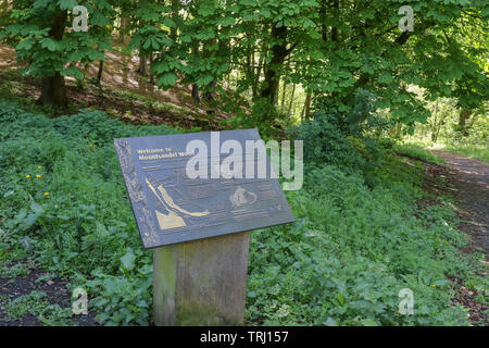 Mesolithic information sign in Mountsandel Wood, Coleraine, Northern ...