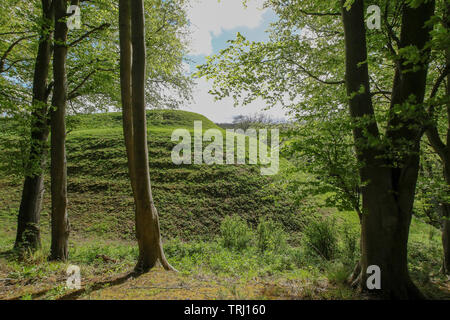 Mountsandel Wood and the earthen mound of the iron-age fort known as ...