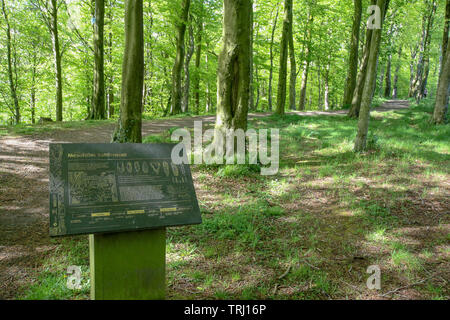 Mesolithic information sign in Mountsandel Wood, Coleraine, Northern ...