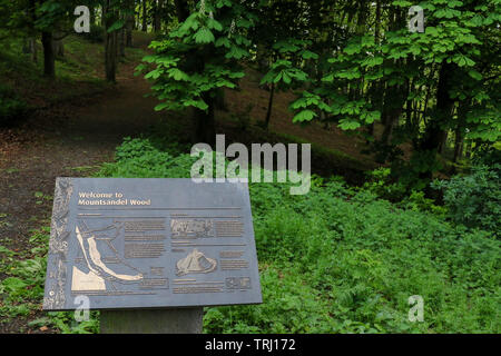Mesolithic information sign in Mountsandel Wood, Coleraine, Northern ...