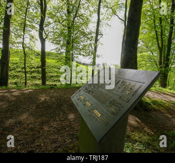Mesolithic information sign in Mountsandel Wood, Coleraine, Northern ...